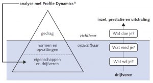 Profile Dynamics - Wat kun je ermee? - Drijfverenanalyse als tool bij ...